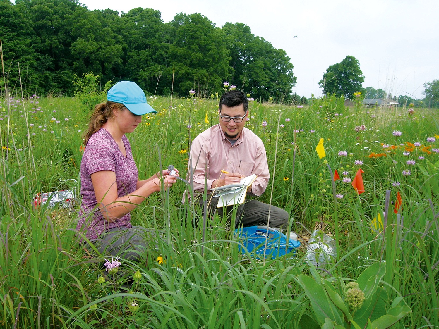 Research at BRV – Edward Lowe Foundation